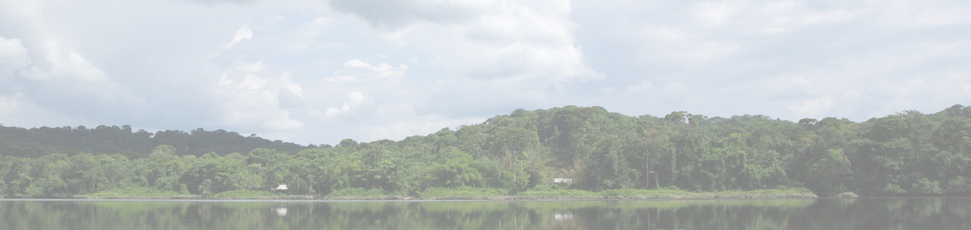 ORCHIDEE – Website of ORCHIDEE, Vegetation Model