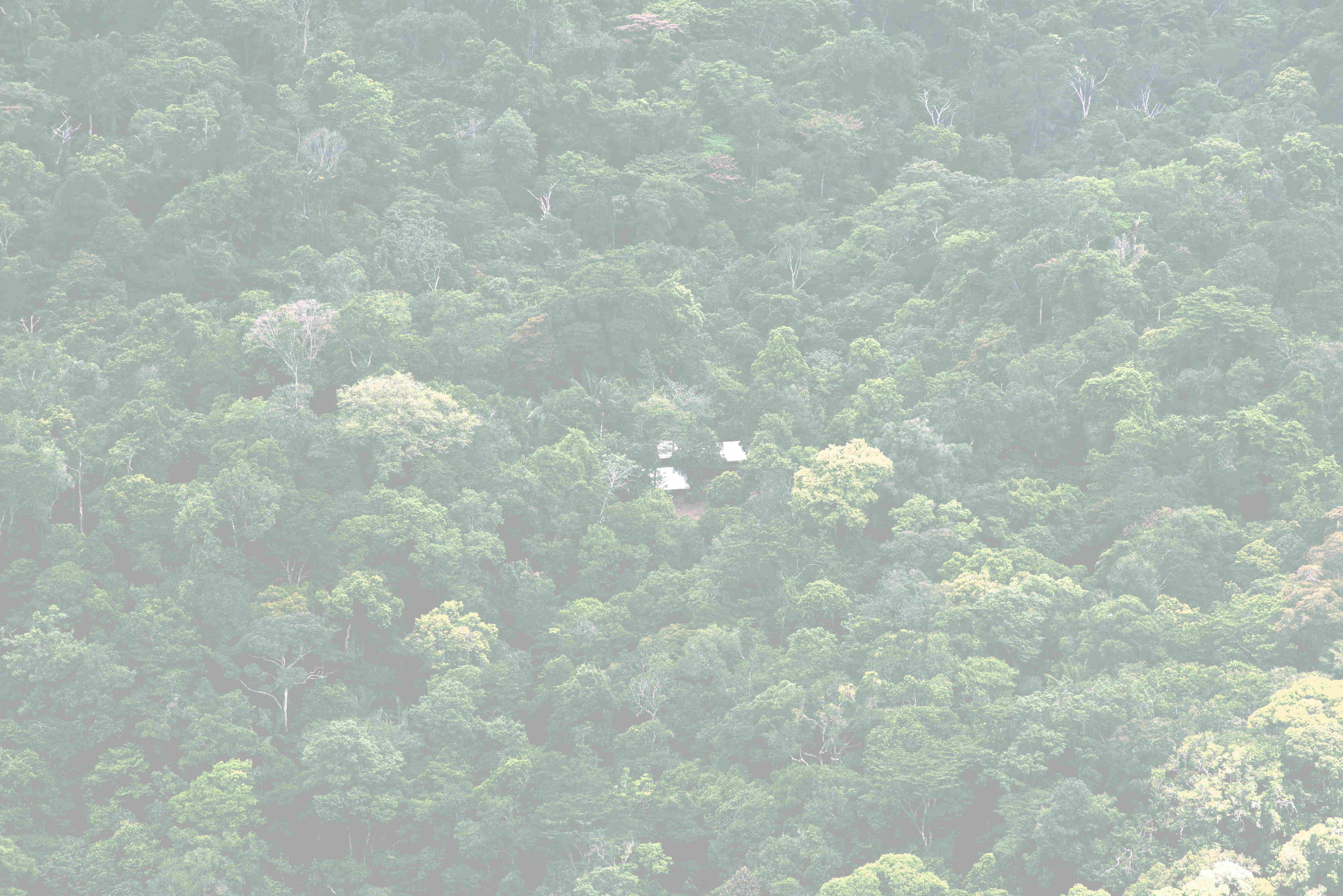 ORCHIDEE – Website of ORCHIDEE, Vegetation Model